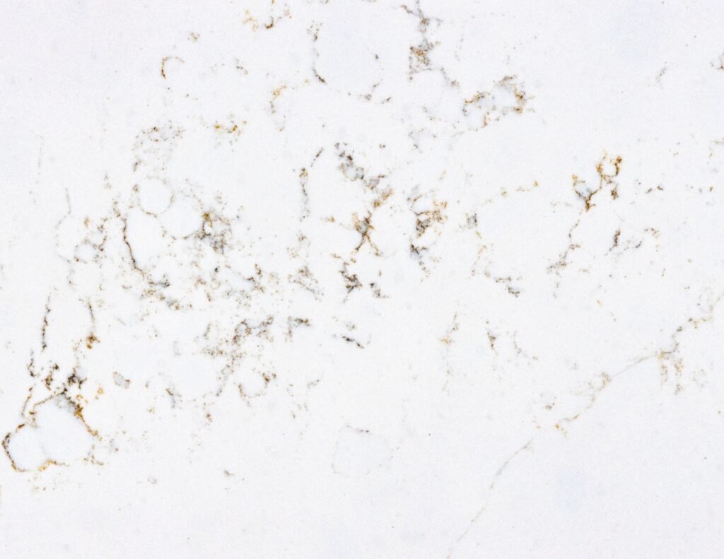 Calacatta Nova – Apollo Surfaces